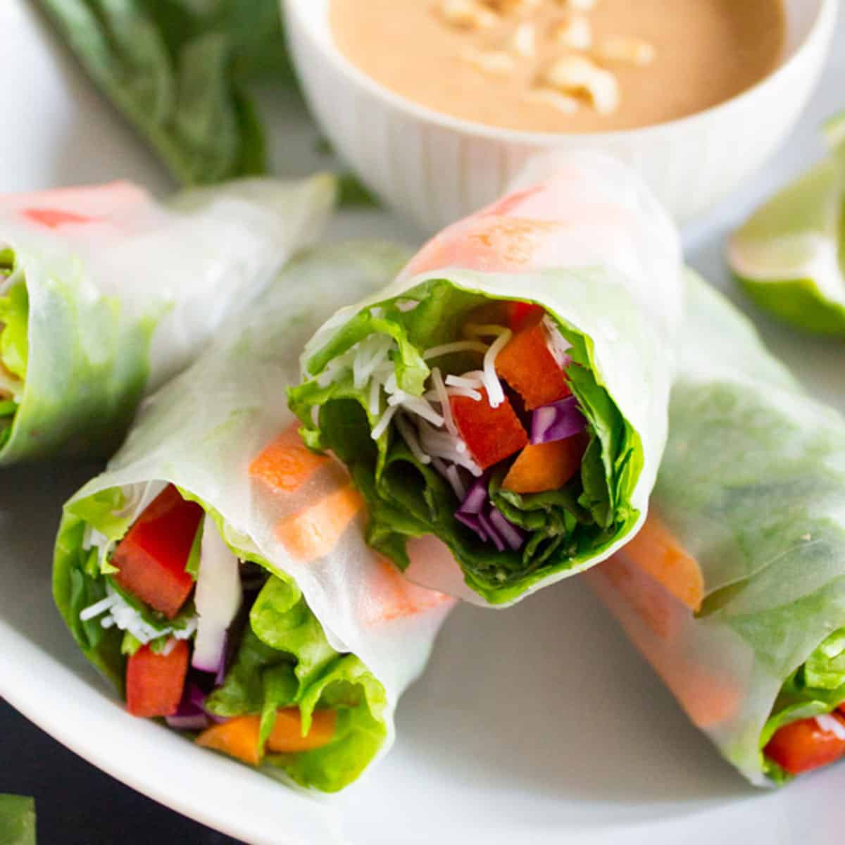 Vegan Salad Spring Rolls - Pass Me Some Tasty